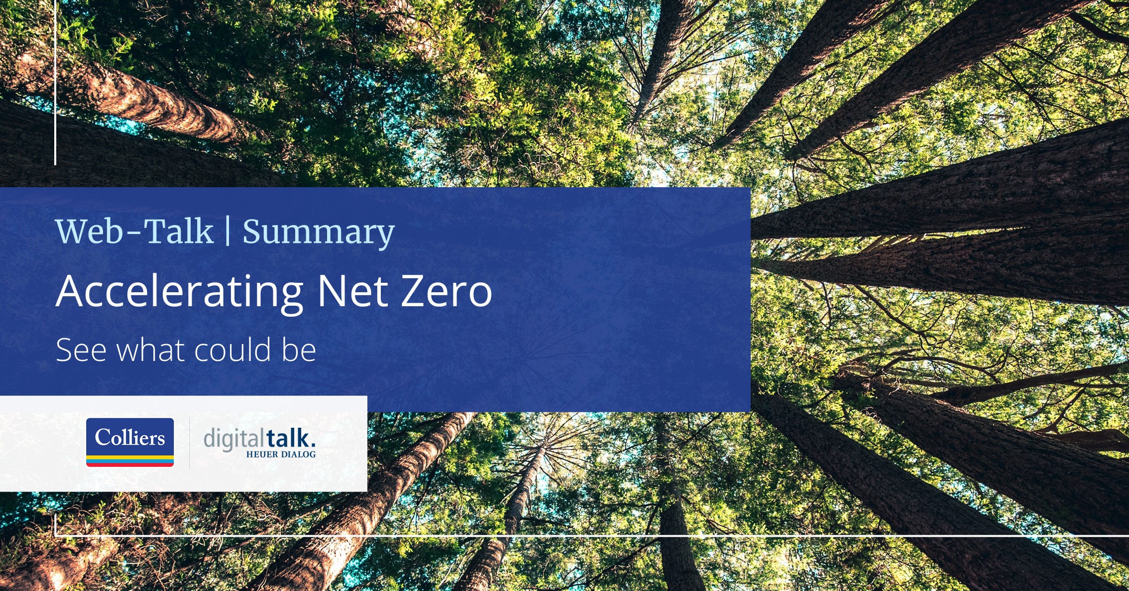 Accelerating Net Zero: CO2-Zertifikate als Schlüssel gegen Klimaschäden ...
