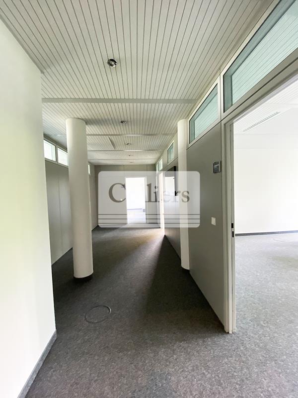 Bavariafilmplatz - Medienstandort Geiselgasteig - Colliers